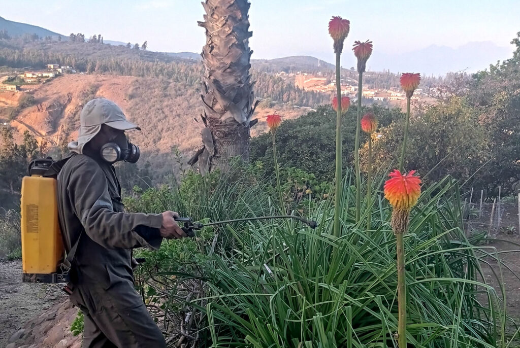 Control de plagas | Belterra Chile